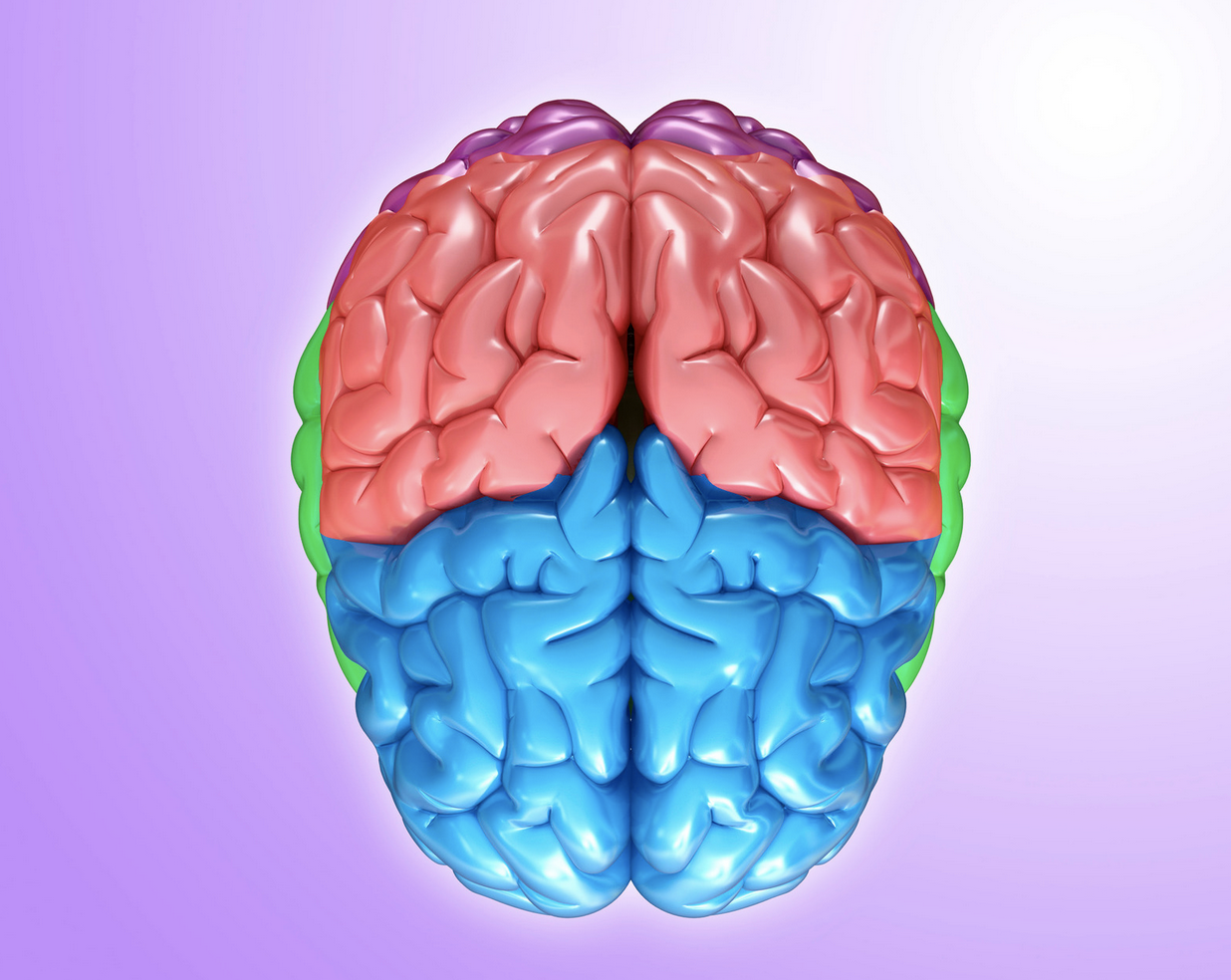 Neural activation patterns in response to food-related cues - American ...