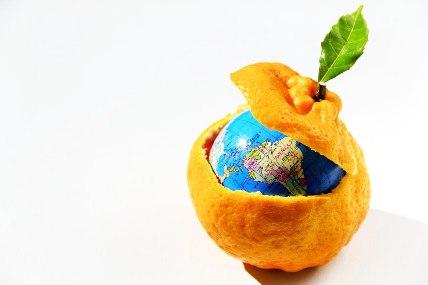 Evaluation and Findings from the International Food Policy Study ...