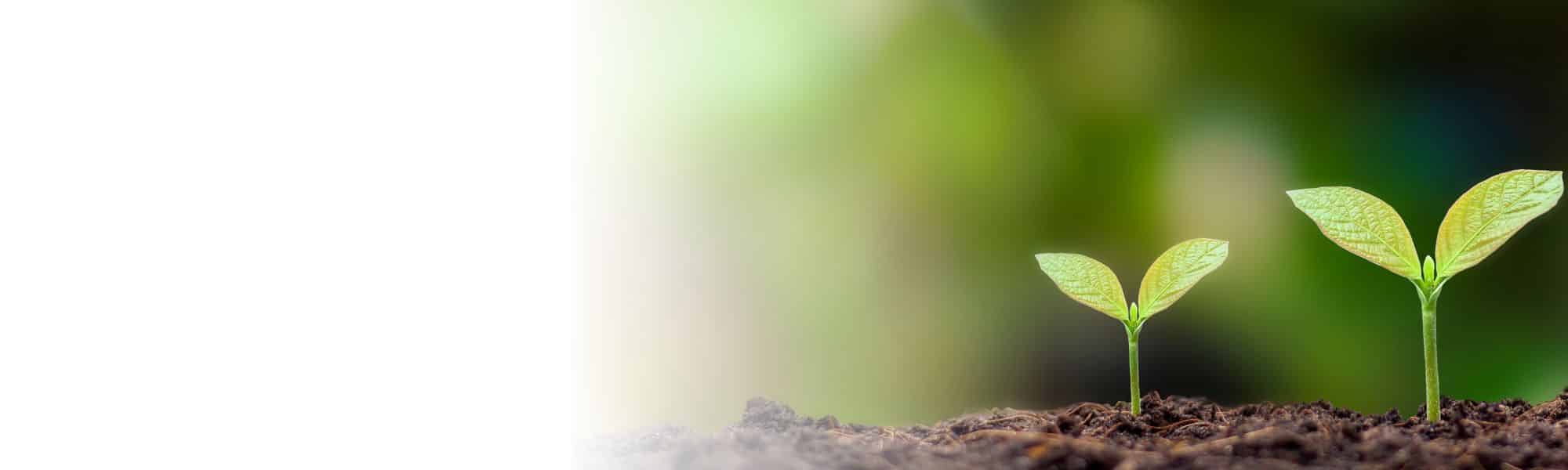 Strategic Plan - American Society for Nutrition