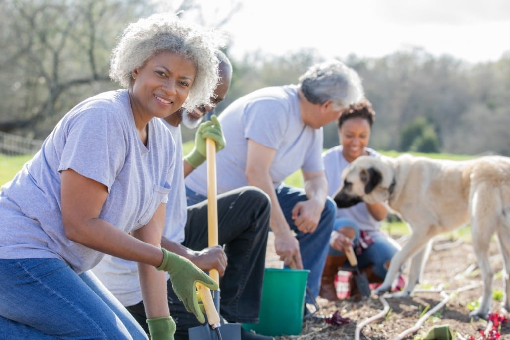 Social environments are important determinants of nutritional risk ...