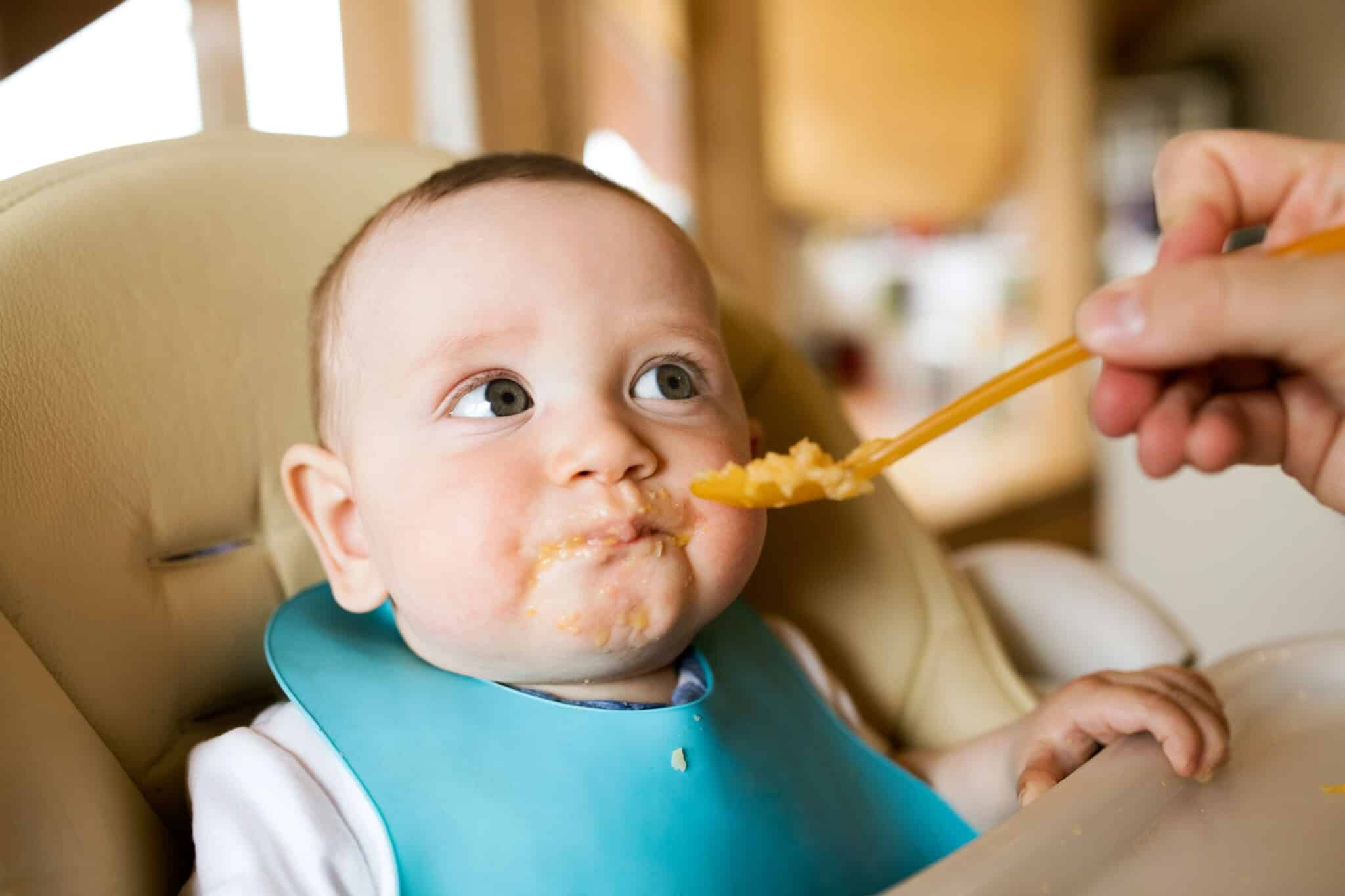 Complementary Feeding: Current Science and Resources - American Society ...
